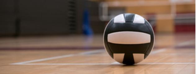 VOLLEYBALL – Go Bells! Store